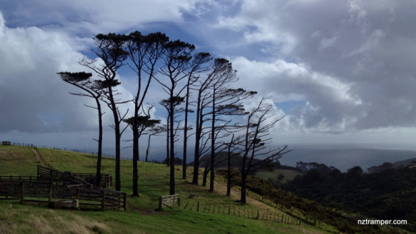 Kuataika Tk to Smyth Ridge Tk to Long Rd Tk to Ridge Rd Tk to Cutty ...