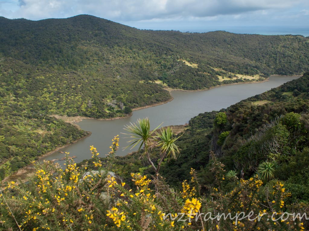 Whatitiri Track to Lake Wainamu Track to Houghton Track to Smyth Ridge ...